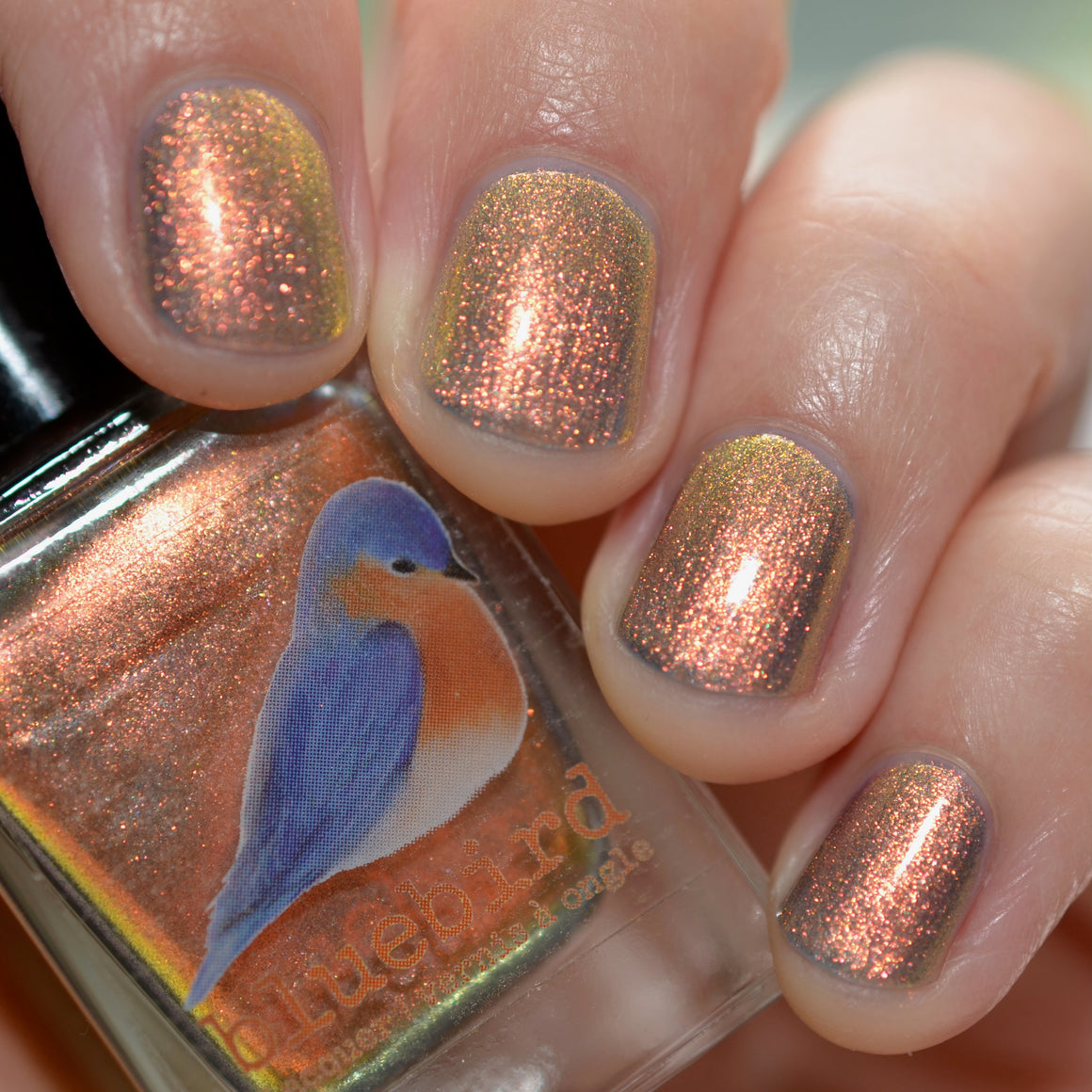 BLUEBIRD IS FOR EVERBIRDY! – Bluebird Lacquer