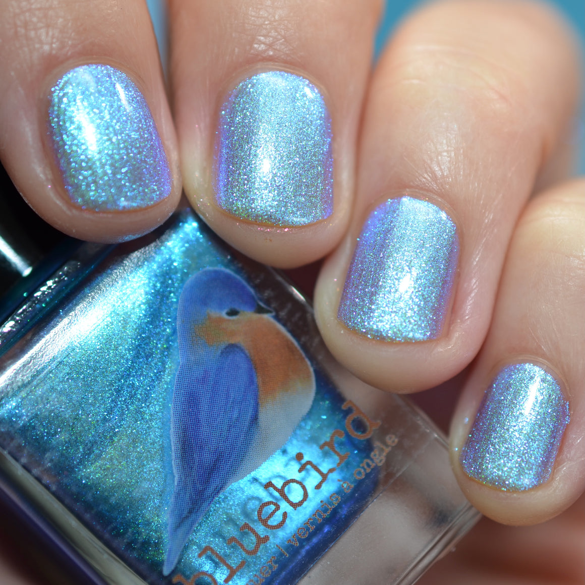 BLUEBIRD IS FOR EVERBIRDY! – Bluebird Lacquer